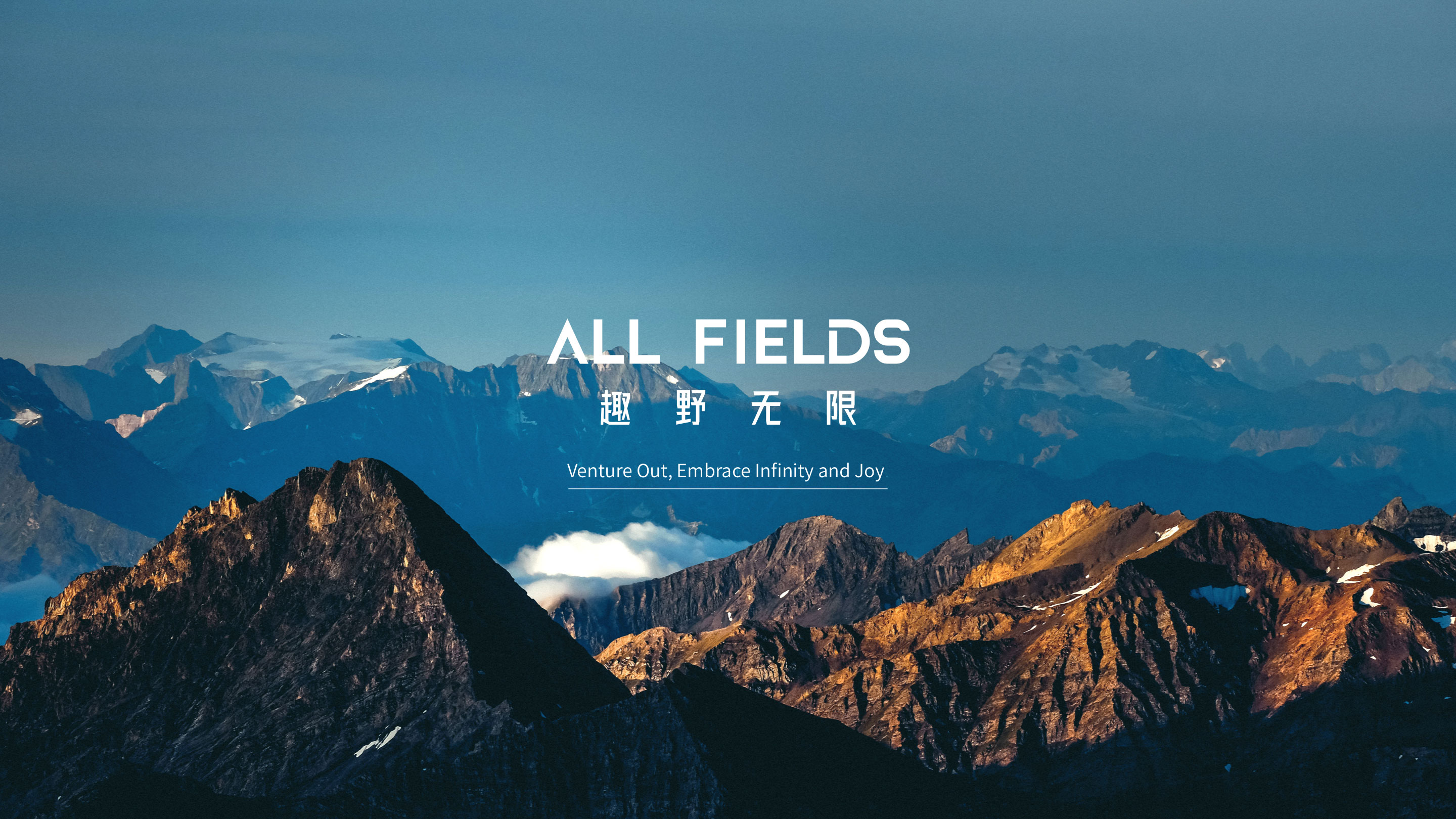 ALL FIELDS